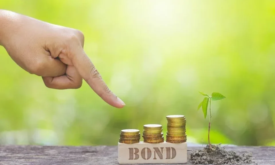 Getting a Surety Bond: Everything You Need to Know | Stock Flow Finance